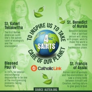 4 Saints To Inspire Us To Take Care Of The Earth - Catholic-Link