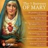 Infographic: The 7 Sorrows Of The Virgin Mary | Catholic-Link