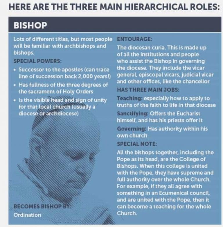 The Hierarchy Of The Catholic Church Explained | Visual Guide