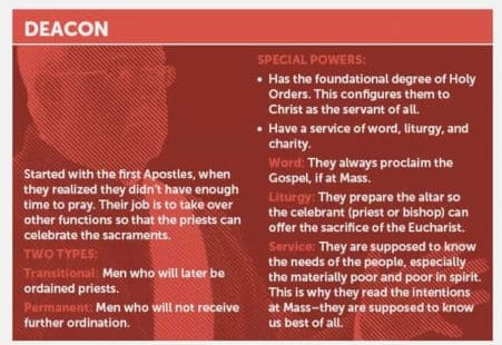 The Hierarchy Of The Catholic Church Explained | Visual Guide