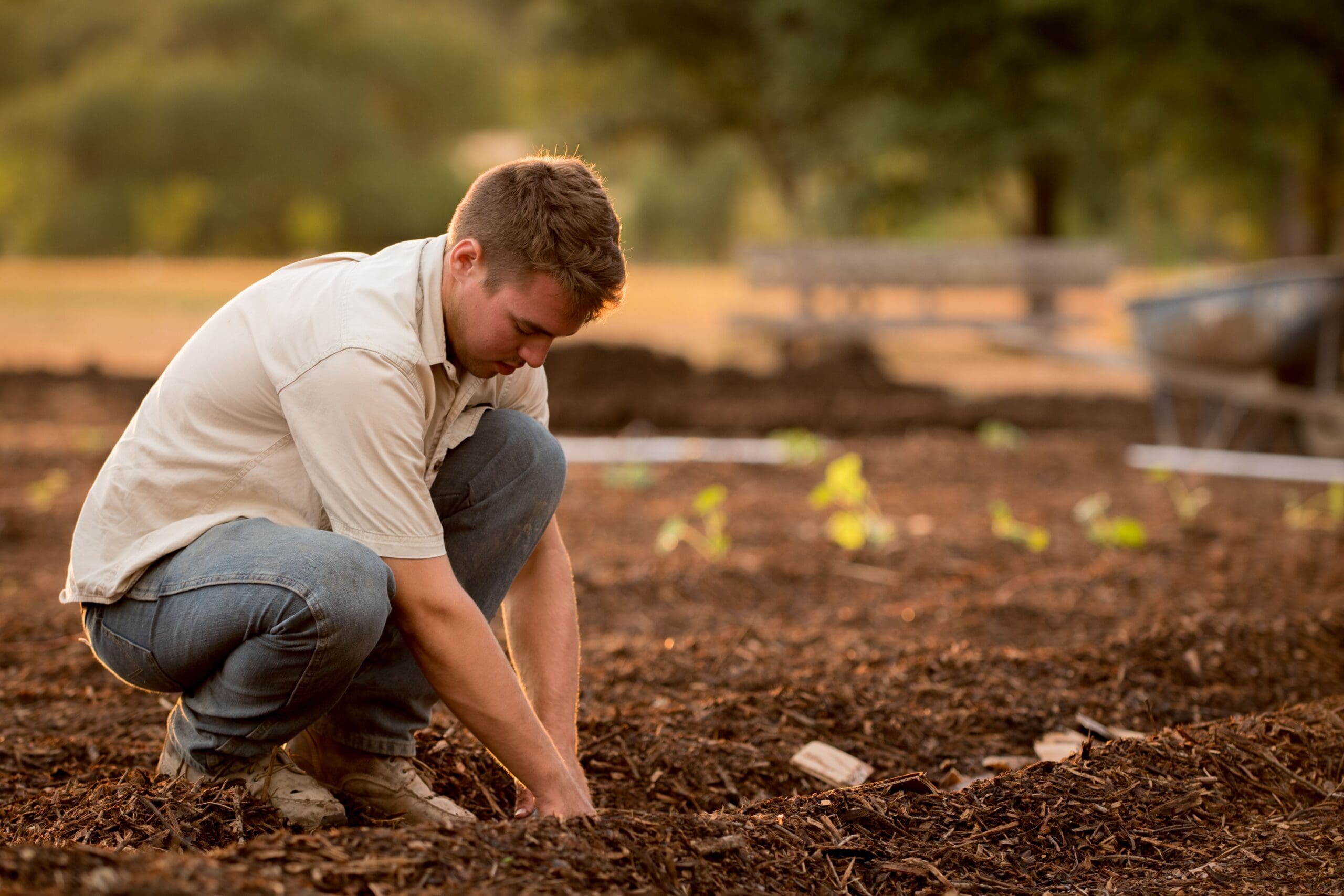 Have The Patience Of The Sower | Matthew 13 Reflection - Catholic-Link